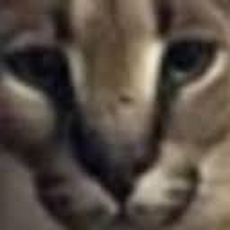 Magic Floppa - Minecraft Modpacks - CurseForge