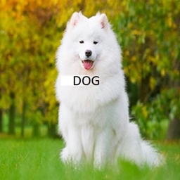 Infinity Evolved but DOG - Files - Minecraft Modpacks - CurseForge