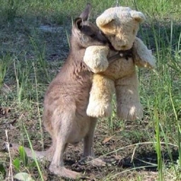 Extra Animals and biomes updates - Minecraft Modpacks - CurseForge