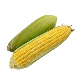 Corn Sword - Minecraft Resource Packs - CurseForge