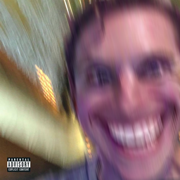 Dingus Pack - Minecraft Modpacks - CurseForge