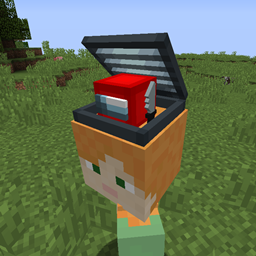 Vanity Mod - hats - Minecraft Mods - CurseForge