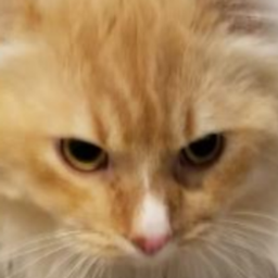 FluffyCraft - Minecraft Modpacks - CurseForge