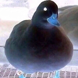 Age Of Contraptions - Gallery - Minecraft Modpacks - CurseForge