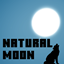 Natural Moon - Minecraft Mods - CurseForge