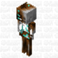 Nether Skeletons - Mods - Minecraft - CurseForge