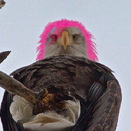 Install Geo's Land of enchantment - Minecraft Mods & Modpacks - CurseForge