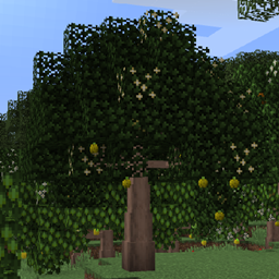 Dynamic Trees - Cuisine - Minecraft Mods - CurseForge