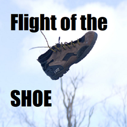 The flight of the shoe - Gallery - Minecraft Modpacks - CurseForge
