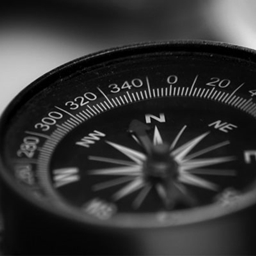 Wild division - Gallery - Minecraft Modpacks - CurseForge