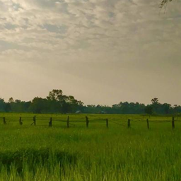 Slim Mod - Minecraft Modpacks - CurseForge