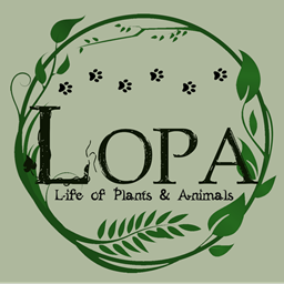 LOPA - Life of Plants & Animals 1.12 - Files - Minecraft Modpacks ...