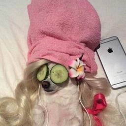 The Bugs Pack - Minecraft Modpacks - CurseForge