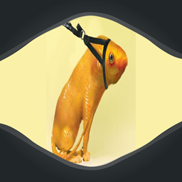 Echo Pack - Minecraft Modpacks - CurseForge