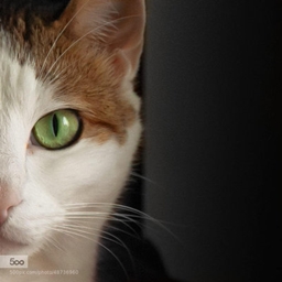 The Undertale Texture Pack - Minecraft Resource Packs - CurseForge