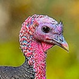 Bestest Pack - Minecraft Modpacks - CurseForge