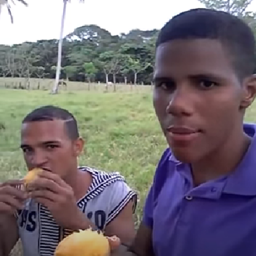 Mango Meme - Minecraft Mods - CurseForge