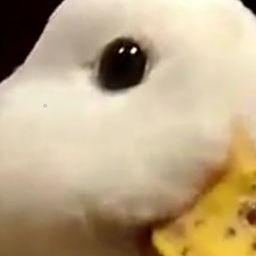 Voltz De La Quac - Minecraft Modpacks - CurseForge