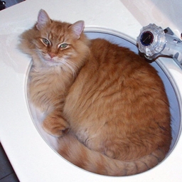 Conflict SMP modpack - Gallery - Minecraft Modpacks - CurseForge