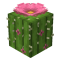 Mo's Desert Bloom - Resource Packs - Minecraft - CurseForge