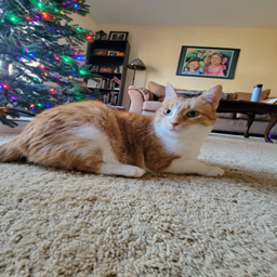 Galactic Colonization - Minecraft Modpacks - CurseForge