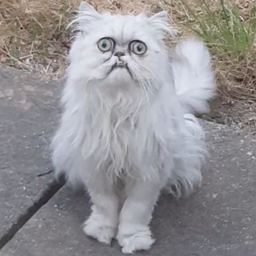 Dank mod - Minecraft Modpacks - CurseForge