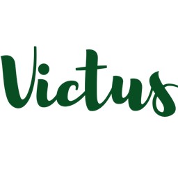 Victus - A Magical Frontier - Minecraft Modpacks - CurseForge