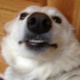 Jewel's Flare Pack - Minecraft Modpacks - CurseForge