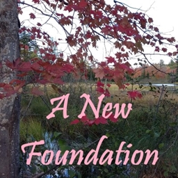 A New Foundation - Minecraft Modpacks - CurseForge