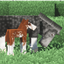 Lickerish's 32x Realistic Horse Genetics textures - Minecraft Resource ...