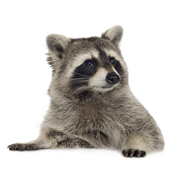 Trashpanda's (lite) Modpack - Minecraft Modpacks - CurseForge