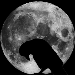 The Crow - Minecraft Modpacks - CurseForge