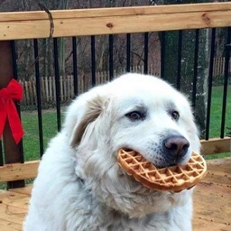 Aspens Epic wacky Fabric Pack - Gallery - Minecraft Modpacks - CurseForge