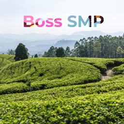 Boss SMP - Minecraft Modpacks - CurseForge