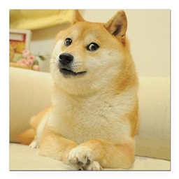 epic doge tech pack - Gallery - Minecraft Modpacks - CurseForge