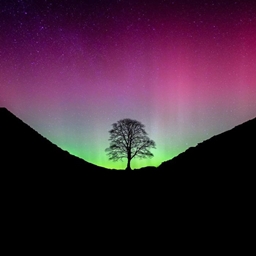 Aura-Numb Craft - Gallery - Minecraft Modpacks - CurseForge