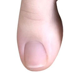 Toe Stubber - Gallery - Minecraft Mods - CurseForge