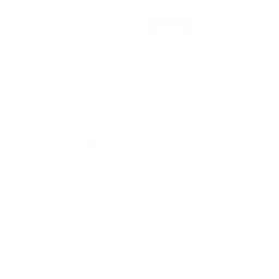 Total Insanity Craft - Minecraft Modpacks - CurseForge