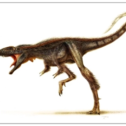 New Light - Minecraft Modpacks - CurseForge