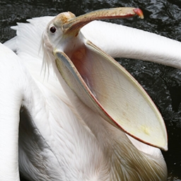 Zombie takeover! - Minecraft Modpacks - CurseForge