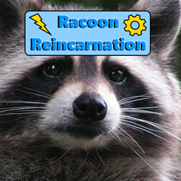 Racoon Reincarnation - Minecraft Modpacks - CurseForge