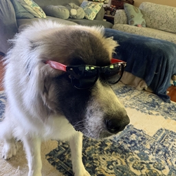 Scouts horizons - Minecraft Modpacks - CurseForge