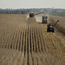 farmer's belly - Minecraft Modpacks - CurseForge