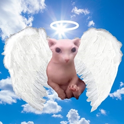 Revenge of the Bingus - Minecraft Modpacks - CurseForge