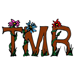 The Mighty Race to Space! - Minecraft Modpacks - CurseForge