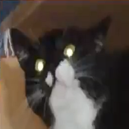 Tyna's world - Files - Minecraft Modpacks - CurseForge