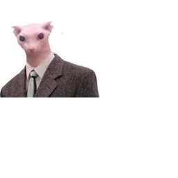 big man bingus - Minecraft Modpacks - CurseForge