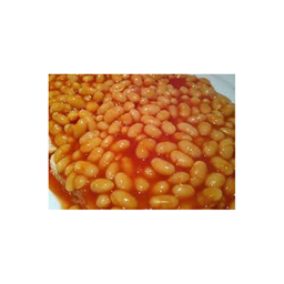 Beans SMP - Minecraft Modpacks - CurseForge