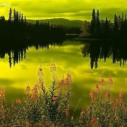 Leviathan Mods - Minecraft Modpacks - CurseForge