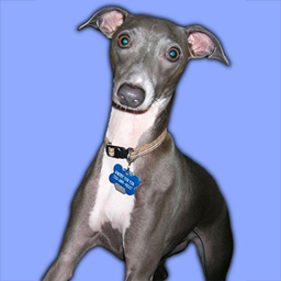 Joshua-Pack - Gallery - Minecraft Modpacks - CurseForge